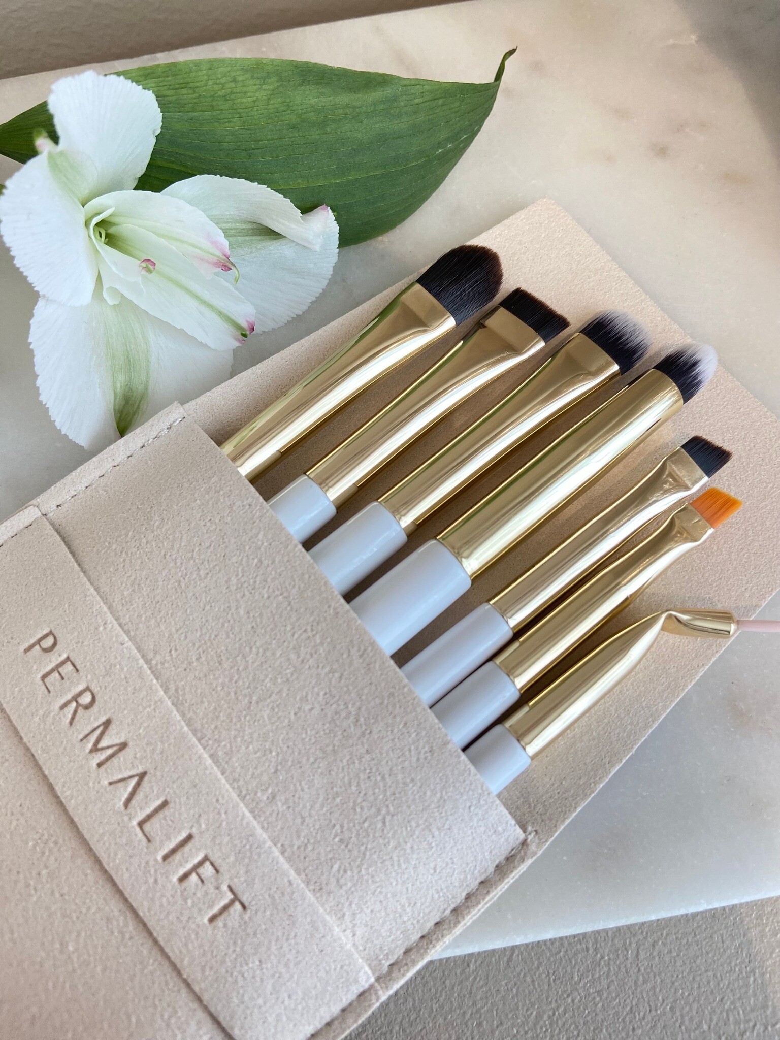 PERMALIFT BROW AND LASH BRUSHES MASTER KIT – Beautifeau